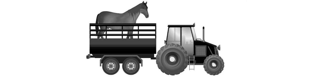 Animal Transport – Swezey View Farm LLC